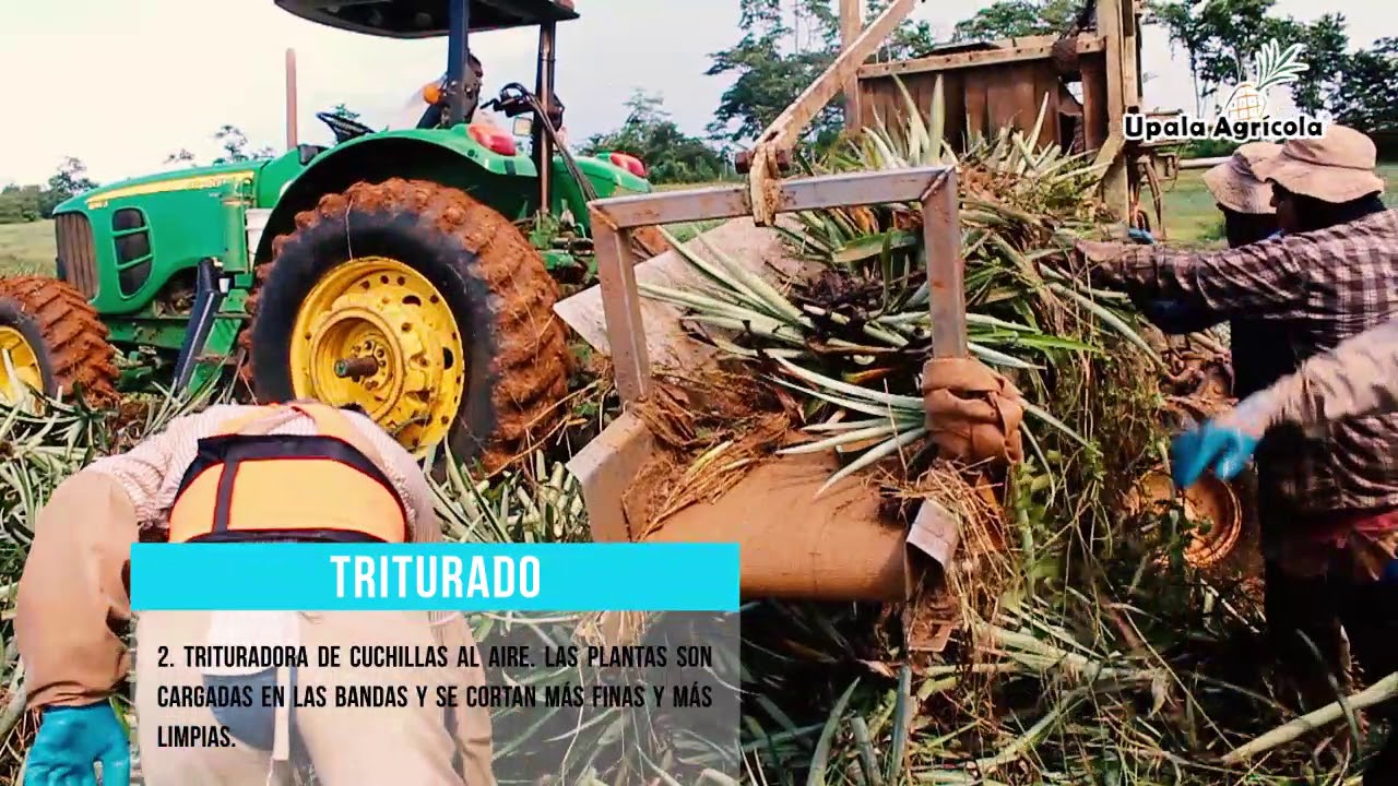 Triturado y manejo del rastrojo en Upala Agrícola - YouTube
