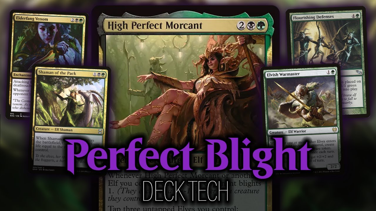 High Perfect Morcant Deck Tech – BG Elves, Blight & Life Drain - YouTube