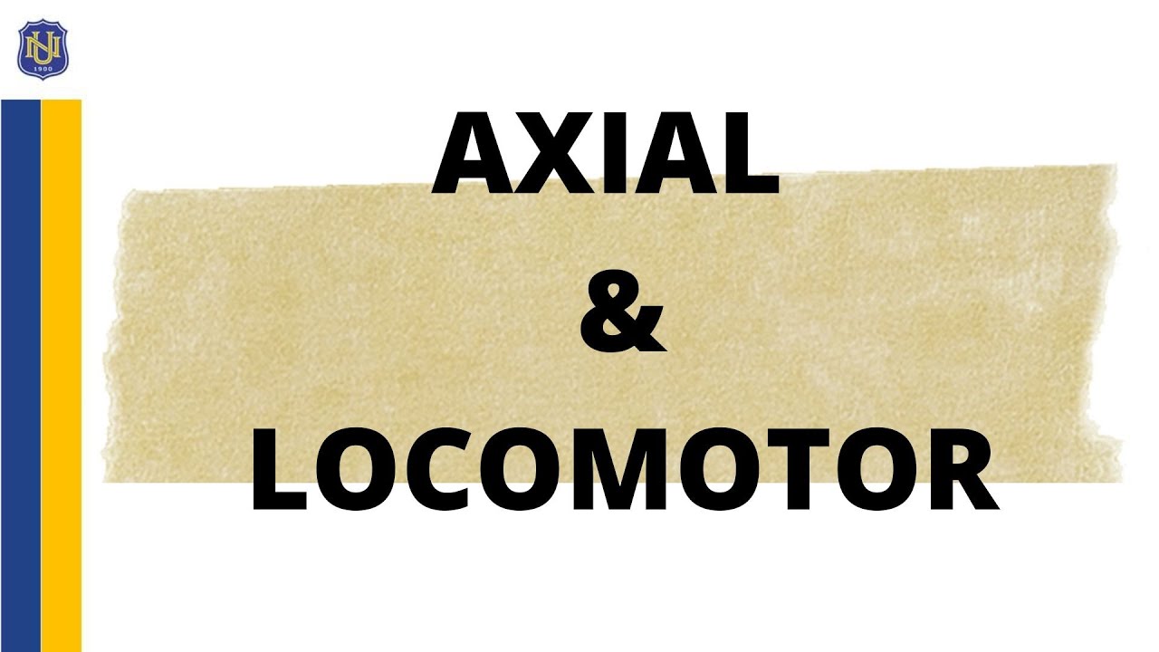 Axial & Loco-motor - YouTube