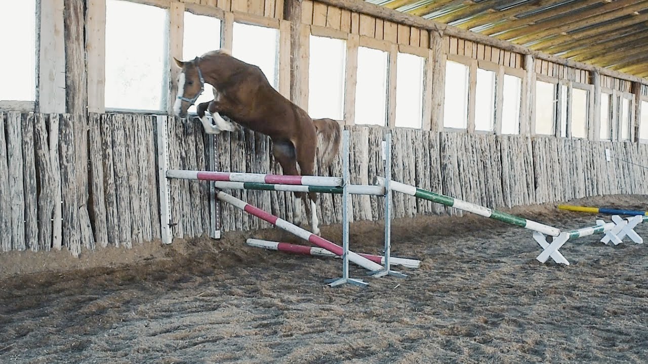 Q 3 - Skok vo volnosti - YouTube