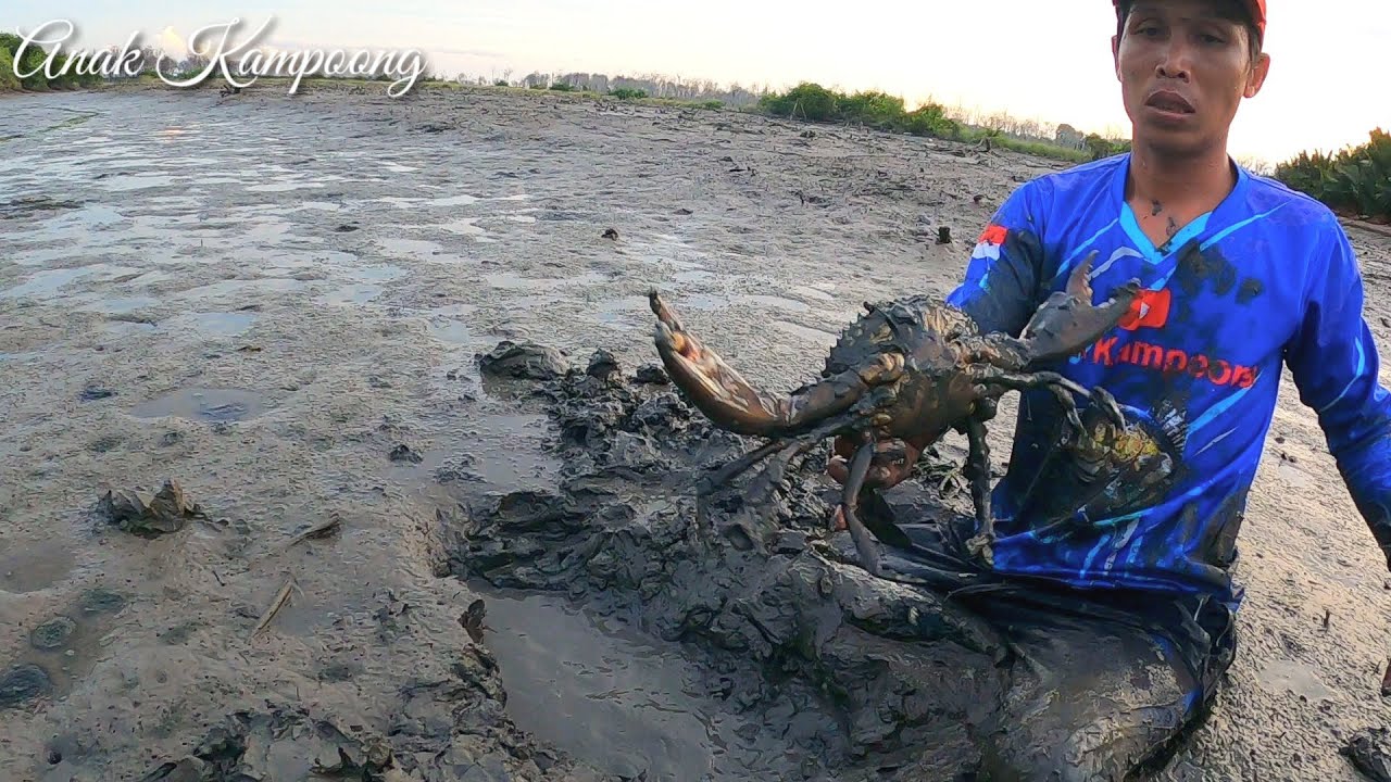 BERBURU KEPITING MONSTER PENGHUNI LUBANG - YouTube