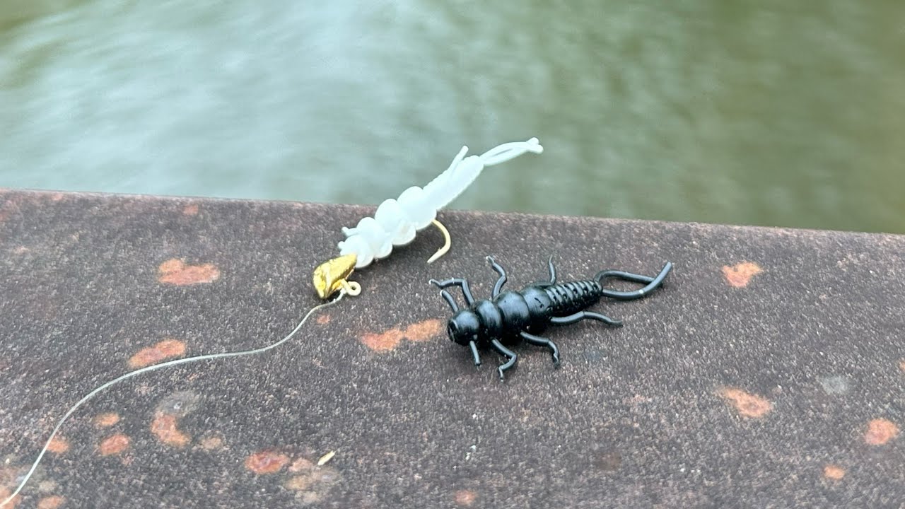 Fishing in the RAIN with CREEK BUGZ for TROUT! - YouTube
