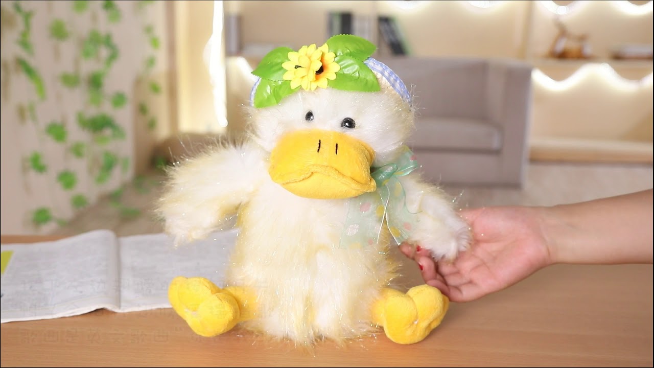 Sunshine Duck - YouTube