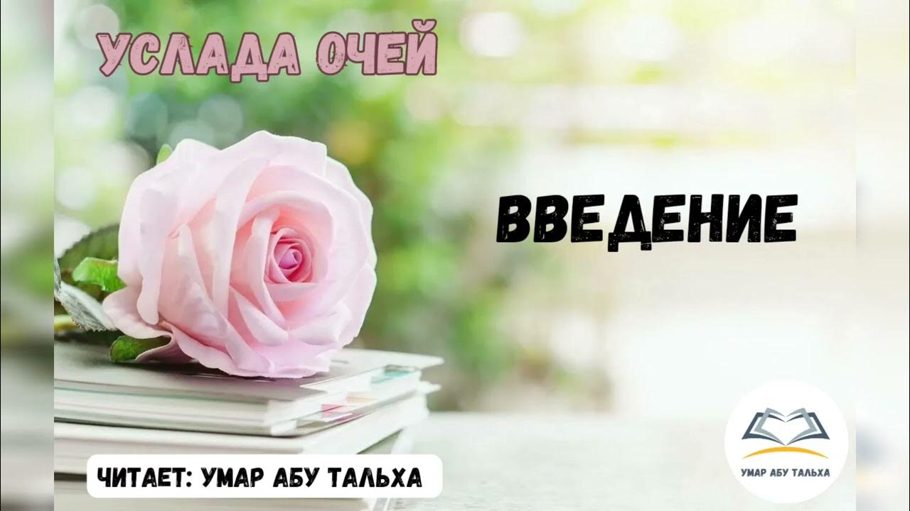 Введение || Услада очей || Умар Абу Тальха - YouTube