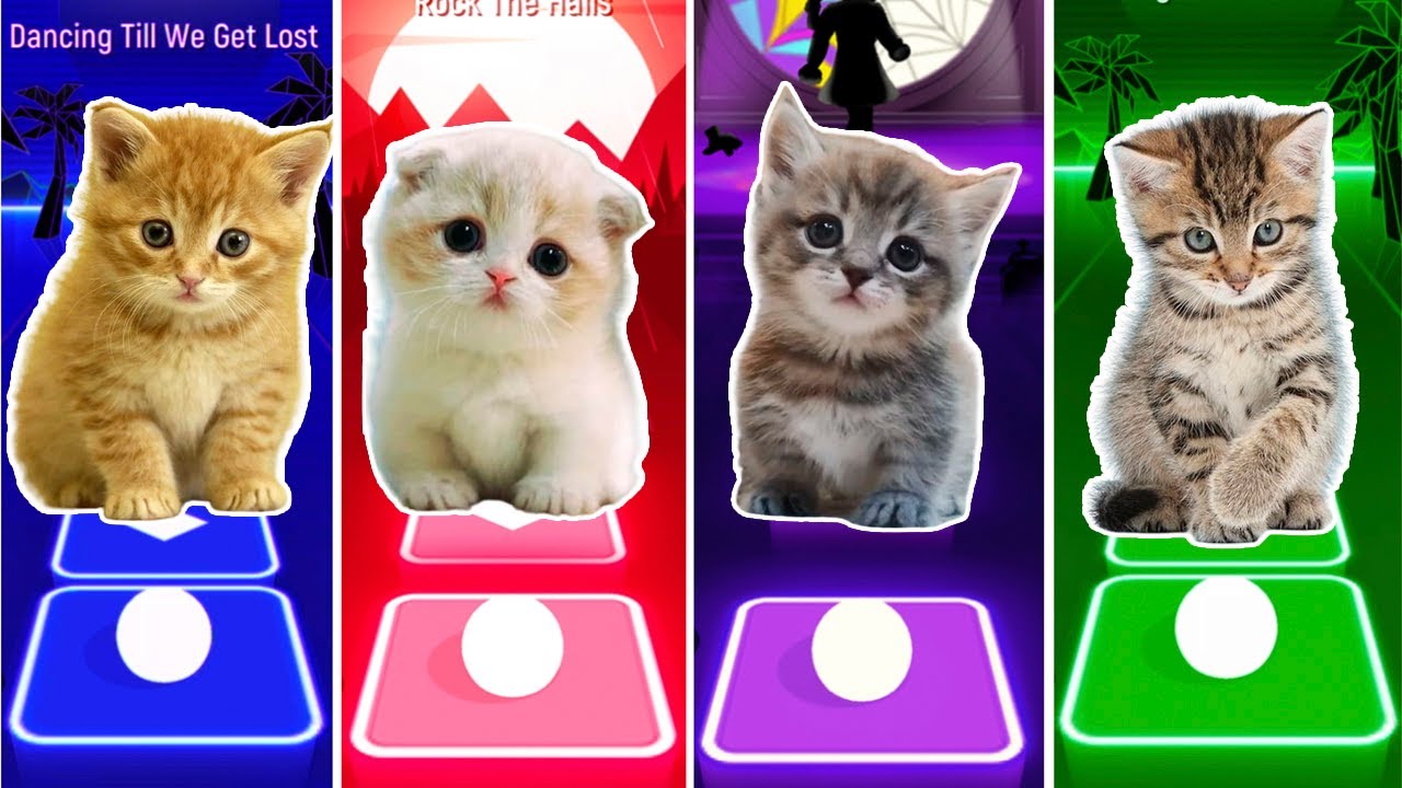 CUTE CAT BTS DYNAMITE vs LISA MONEY vs JISOO FLOWER BLACKPINK vs FIFTY FIFTY CUPID & TILES HOP ...