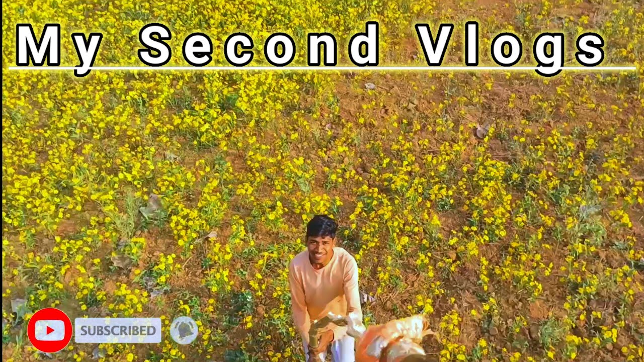 My Second Vlogs ️।। Today New Vlogs।। Trending Vlogs।। Viral - YouTube