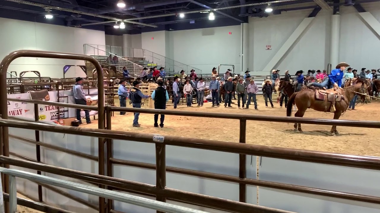 NRF National Rodeo Finals 2019. Juniors Tie-Down & Breakaway Finals ...