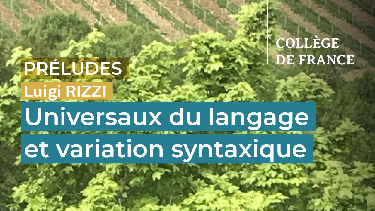 Universaux du langage et variation syntaxique - Luigi Rizzi - YouTube