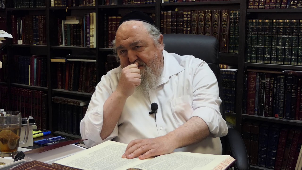 David Hamelech 4 - YouTube