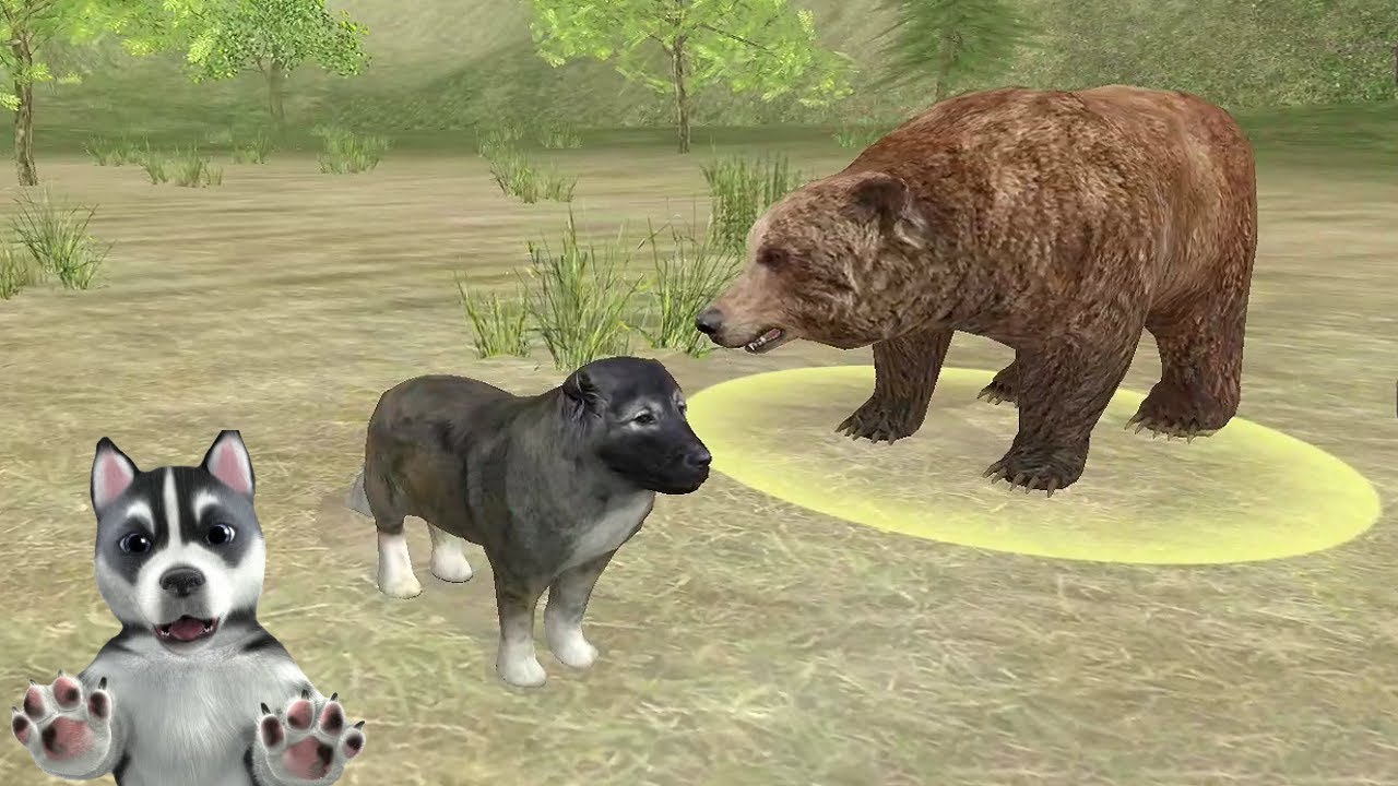 Dog Sim Online - Boss Battles - Best Team - Gameplay Part 40 - YouTube