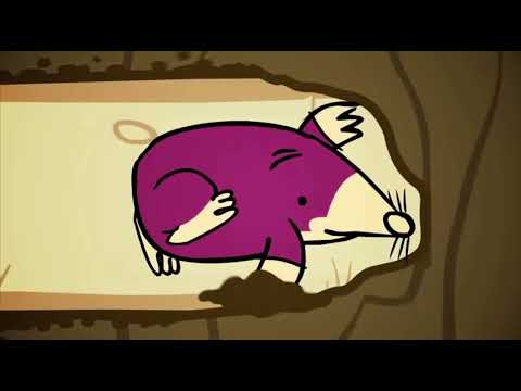 Babyfirst Magic Tunnels Intro (Hebrew)