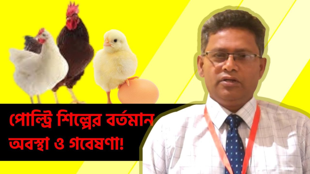 Poultry Bangladesh। Prof Shubash Chandra Das । BAU। পোলট্রির বর্তমান ...