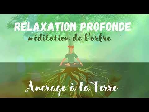 Relaxation Profonde n°3 _ Méditation de l'Arbre/Ancrage à la Terre ...