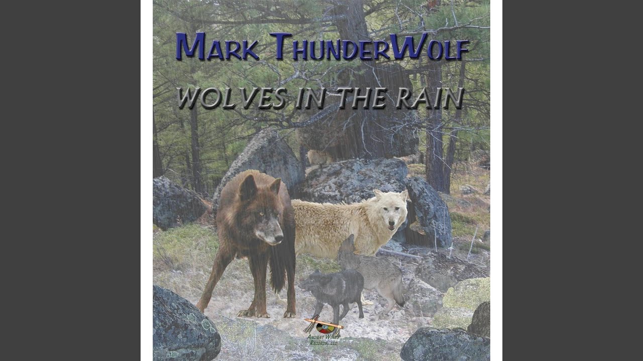 Wolves in the Rain - YouTube