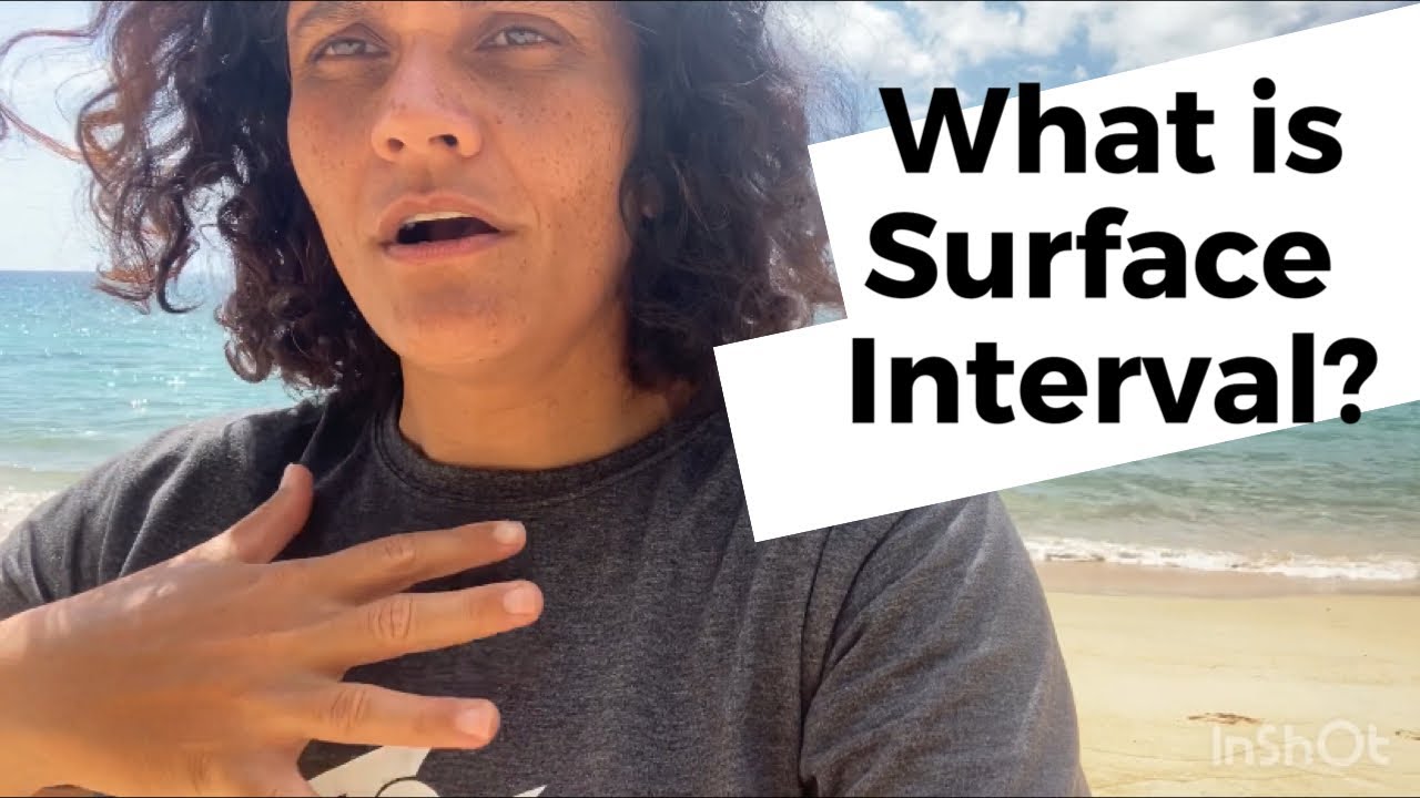 How to spend your surface interval time as a scuba diver - YouTube