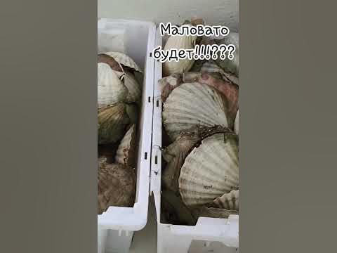 Маловато будет!!!??? Норвегия - это вкусно! - YouTube