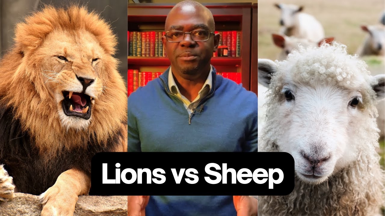Sheep vs lions... really. | with Babatope Ipinyomi - YouTube