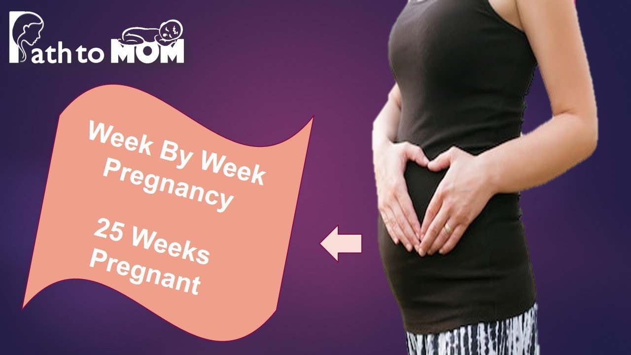 Pregnancy Week By Week | 25 Weeks Pregnant | Pregnancy Stages & Fetal ...