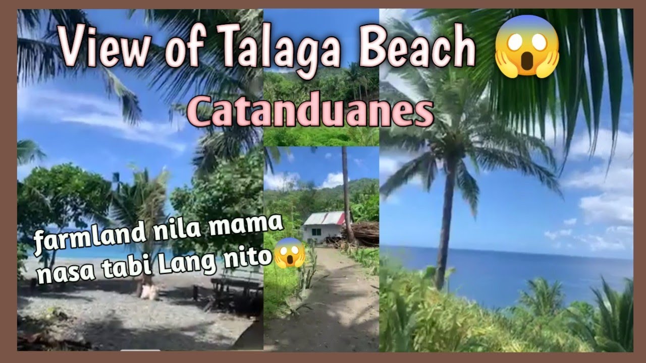 The Farmland of my mama family in Catanduanes besides the Talaga beach ...