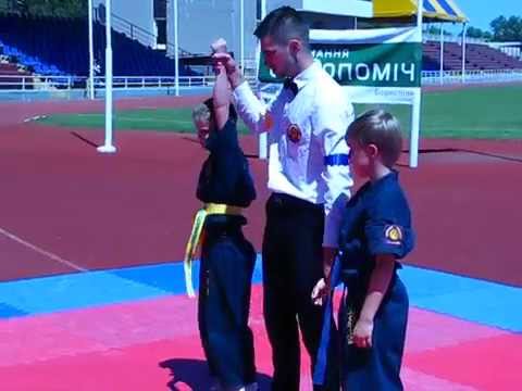 Horting. uluslararası çocuk turnuvası. Dövüş sanatları ve dünyada popüler bir spor.
