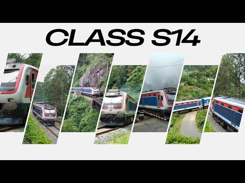 කන්ද උඩරට උරුමය සොයා ආ චීනයෙන් ආ "රතු මකරා" | Class S14 - 2 - YouTube