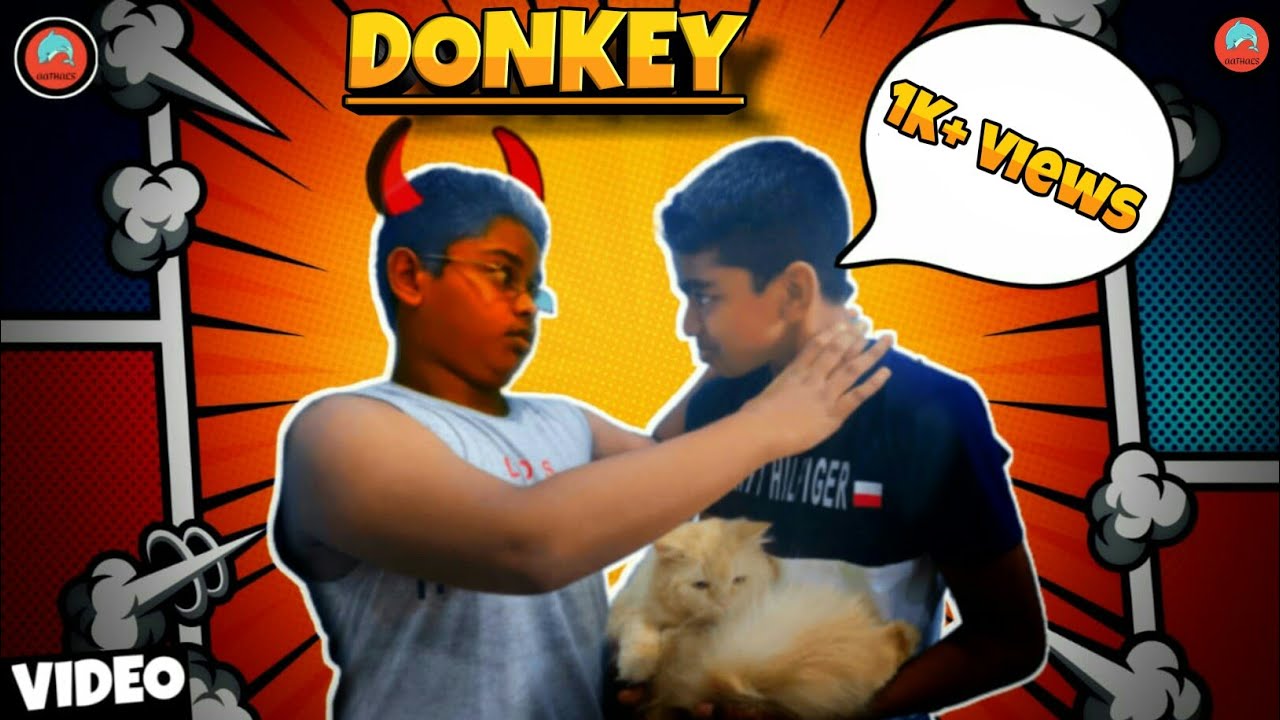 Donkey😂 | Dolphin Aathals - YouTube