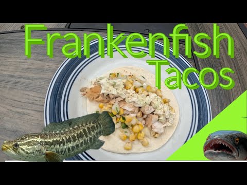 How to make Franken fish Tacos AKA Snakehead - YouTube
