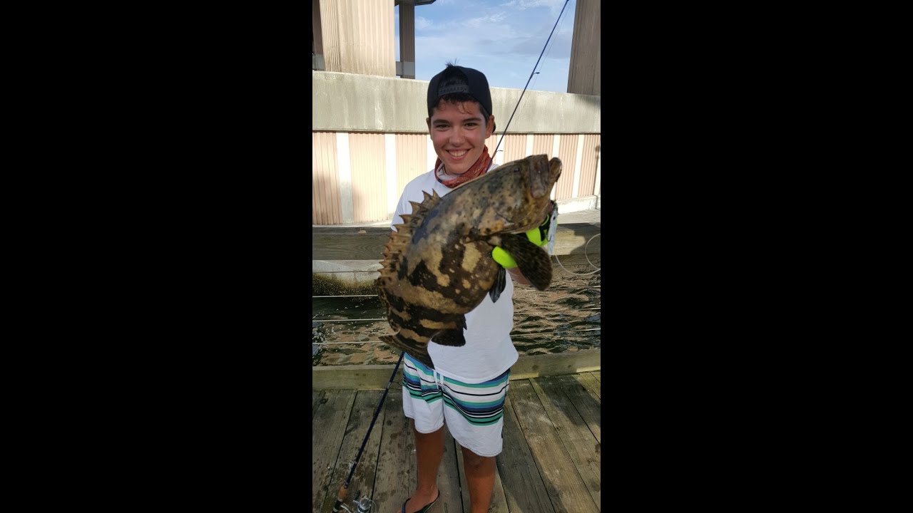 Baby Goliath Grouper with Ultra Light Tackle on a JIG!!! - YouTube
