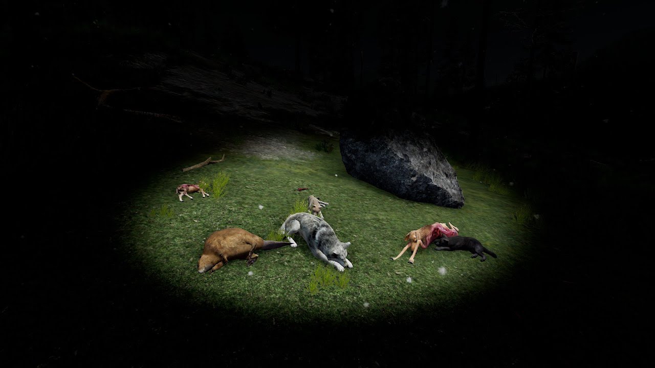 Athena's Age - Deaf Wolf Challenge - Episode 10: Spoiling pups and ...