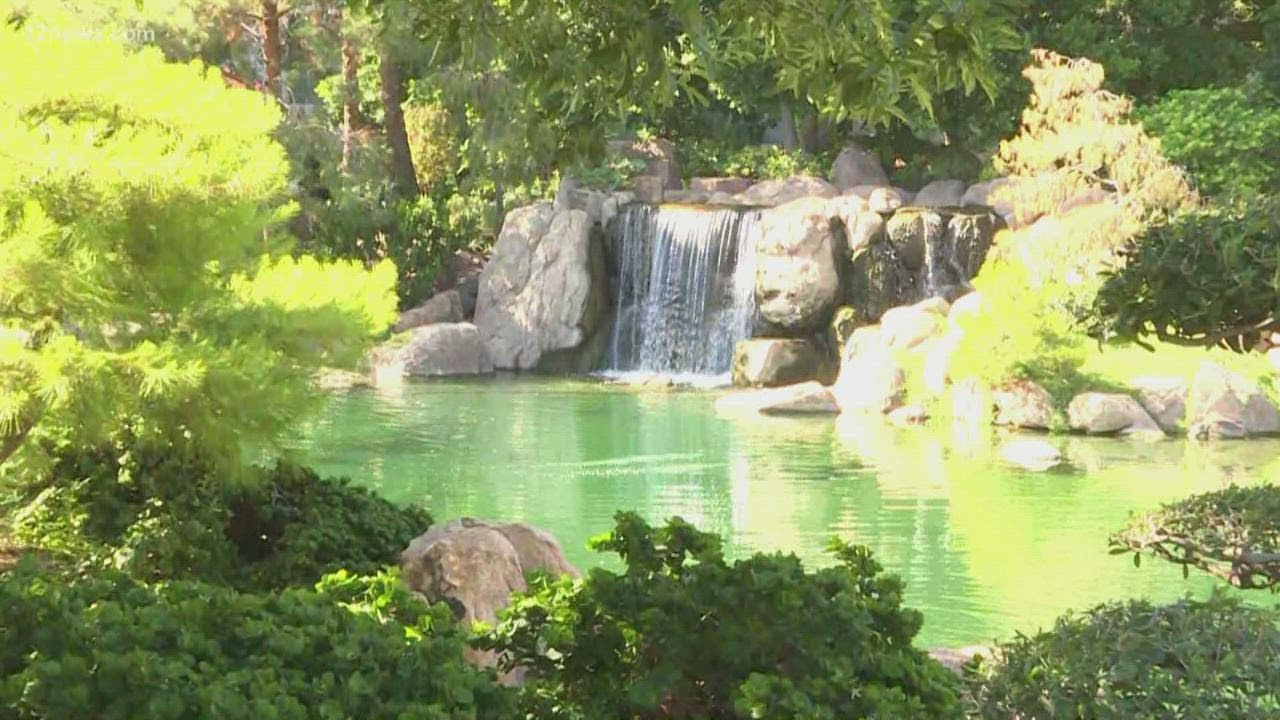 Japanese Friendship Garden in downtown Phoenix gives taste of Japan in ...