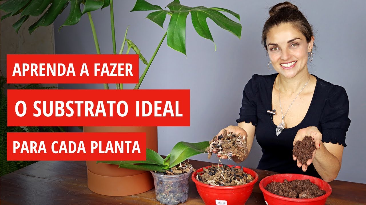 APRENDA a fazer o SUBSTRATO IDEAL para cada PLANTA - YouTube