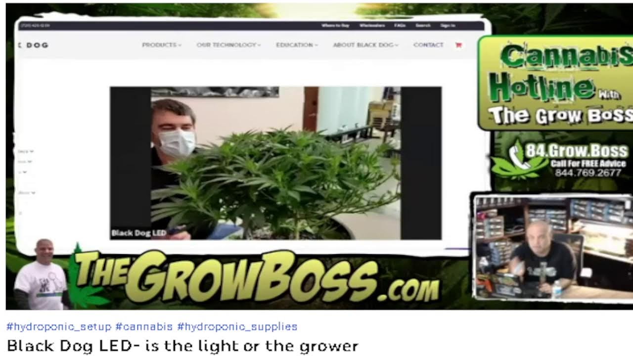 24-7 Grow Boss RE-Stream- everything you need to know--- over and over ...