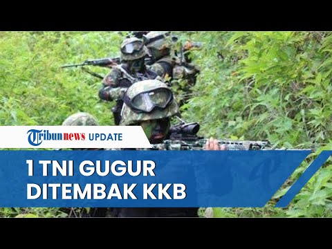 Prajurit TNI Gugur Ditembak KKB saat Kawal Evakuasi Jenazah Suster Gabriela di Distrik Kiwirok
