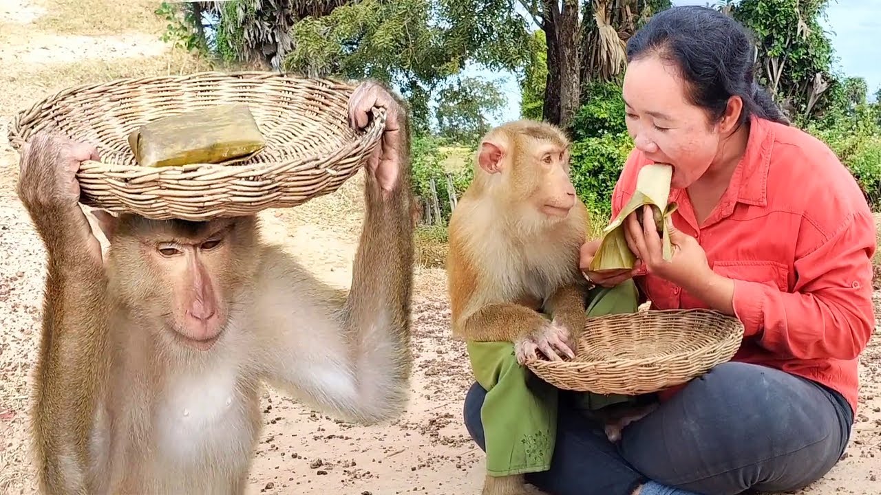 Great Job ! SokYaa Carrying Khmer Cake To Mom At Field, Amazing - YouTube