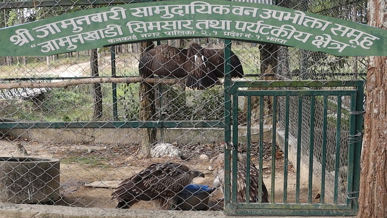 Student's Tour | Jamunkhadi Simsar |jamunkhadi jhapa park ...