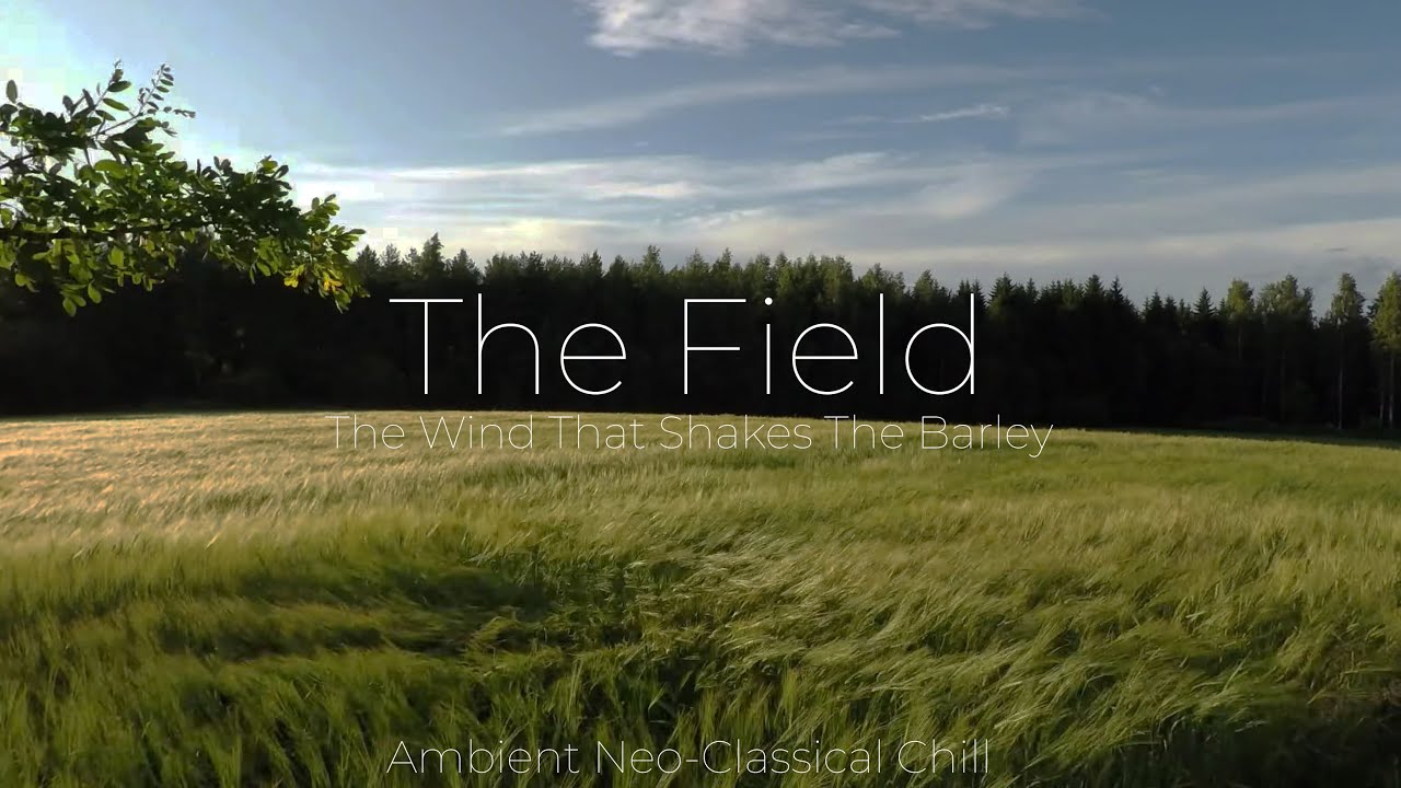 The Wind That Shakes The Barley: The Field - YouTube