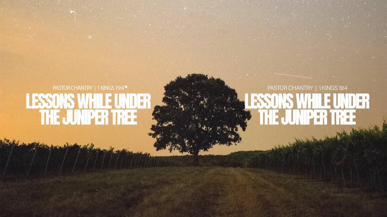 Lessons While Under The Juniper Tree | Pastor Chantry Dean - YouTube