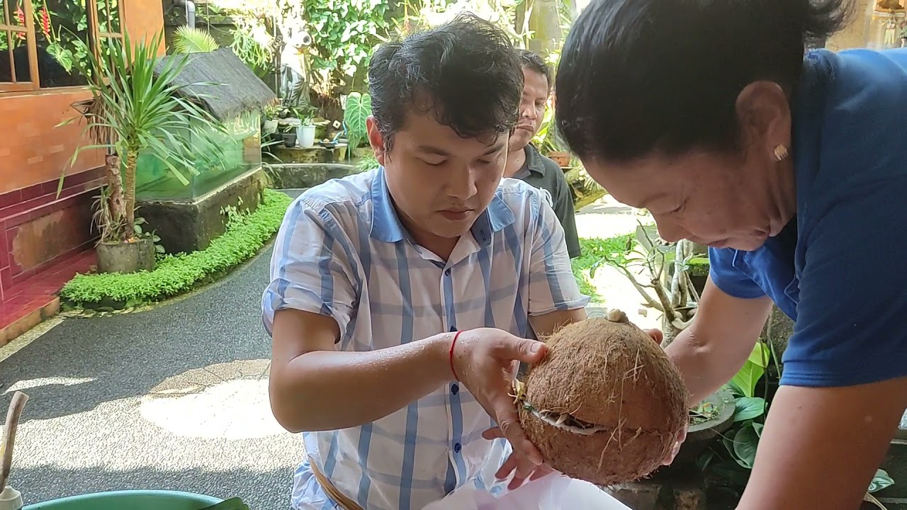 UPACARA MENDEM ARI-ARI "KOMANG DARREN MAHESA WIGUNA" MENURUT AGAMA ...
