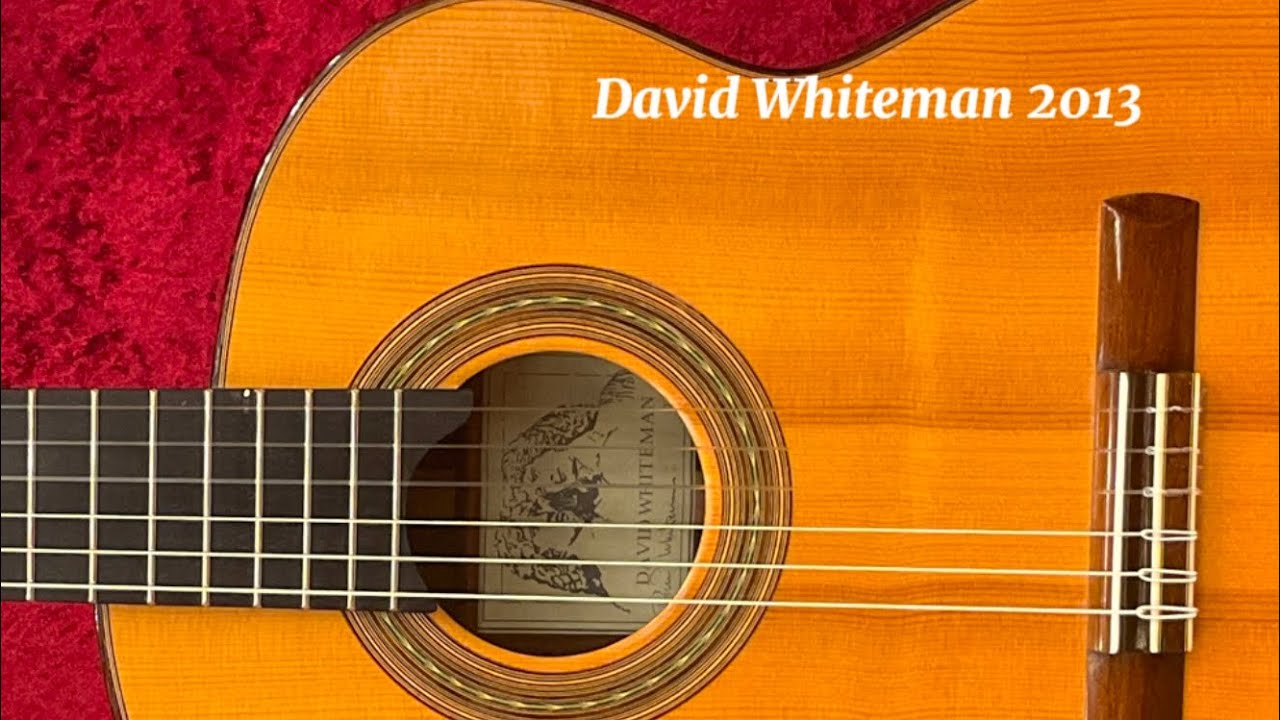 デヴィッド・ホワイトマン David Whiteman 2013年製 別れの前奏曲（モンテス） - YouTube