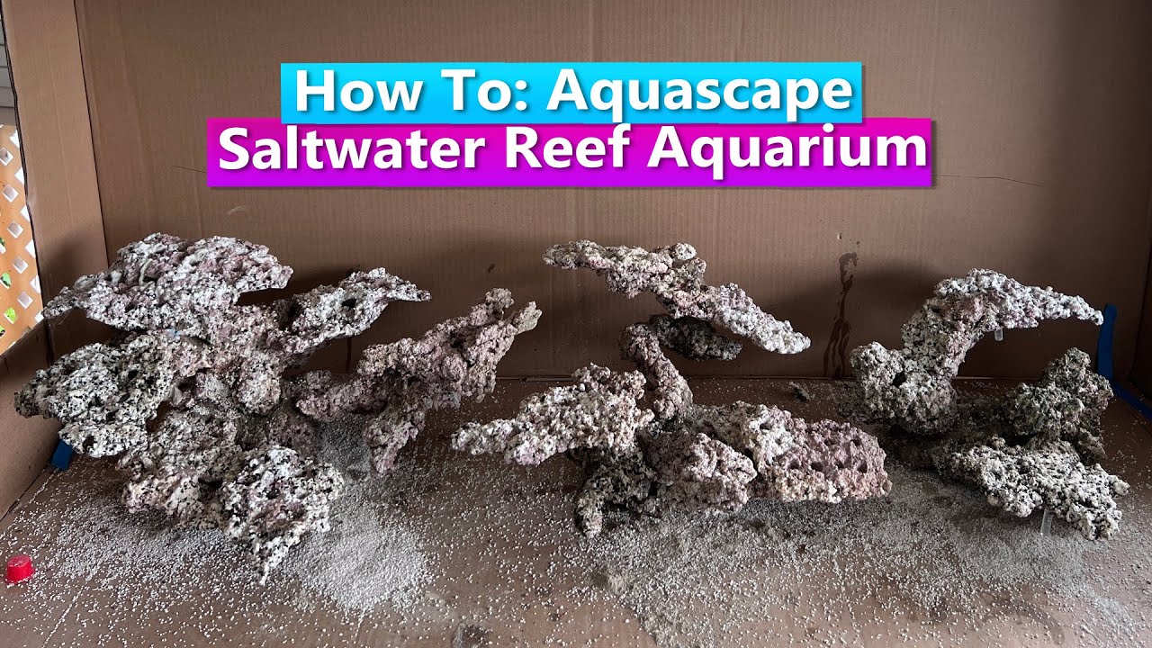 How To Aquascape a Saltwater Reef Aquarium - YouTube