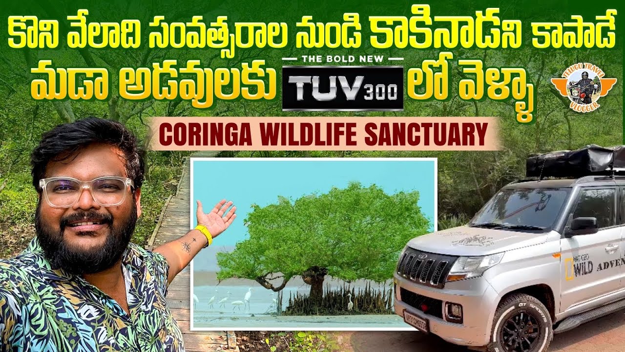 Coringa Wildlife Sanctuary Kakinada || Mangrove Forest Of Andhra ...