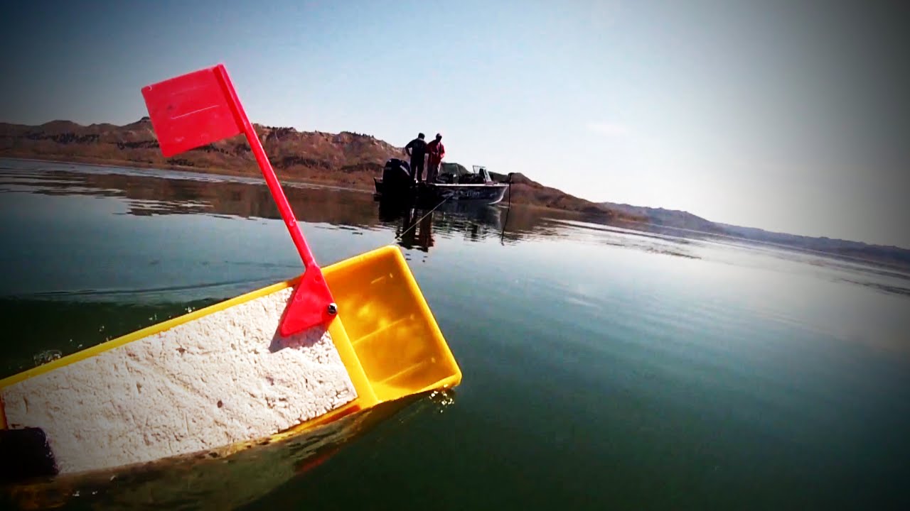 Understanding Seasonal Movements and Finding Fish - YouTube