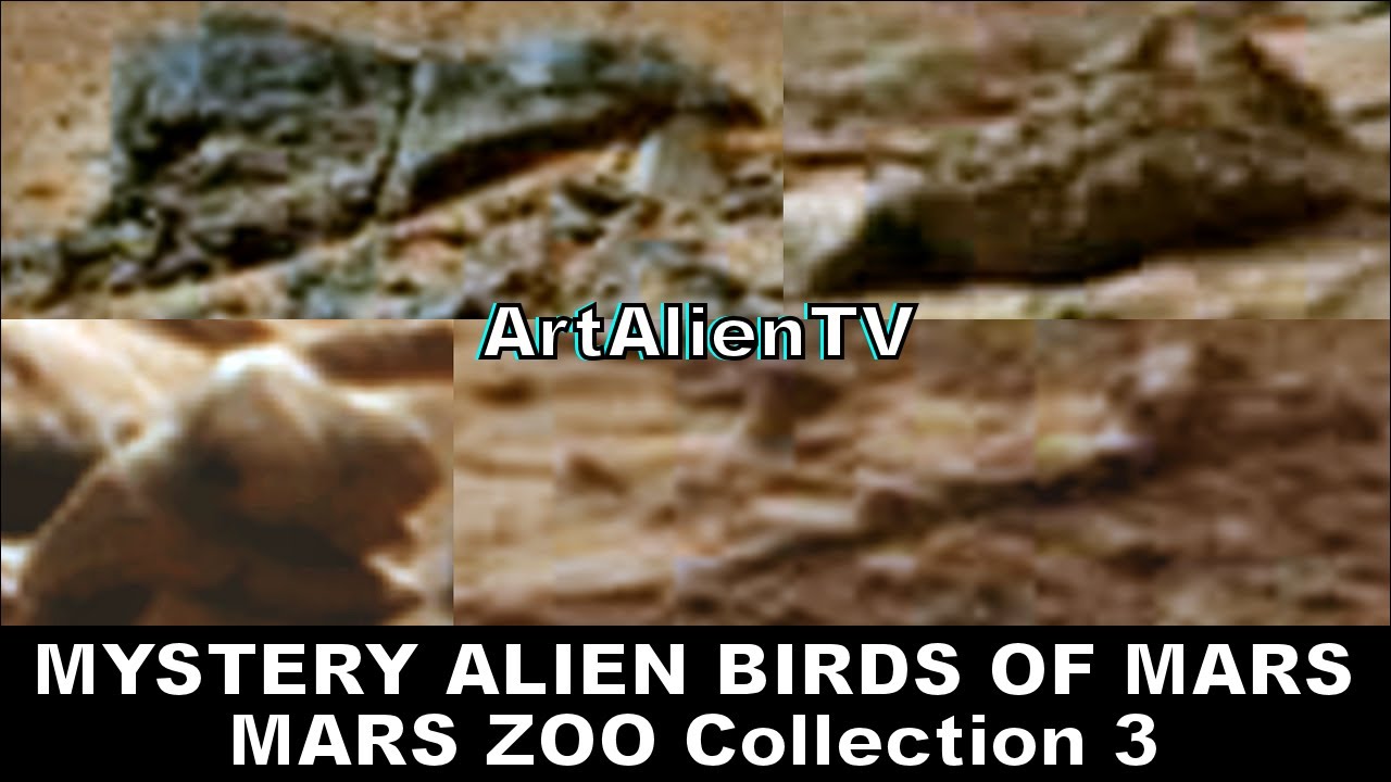 MARS ZOO Collection 3: The Amazing Alien Birds of Mars: ArtAlienTV ...