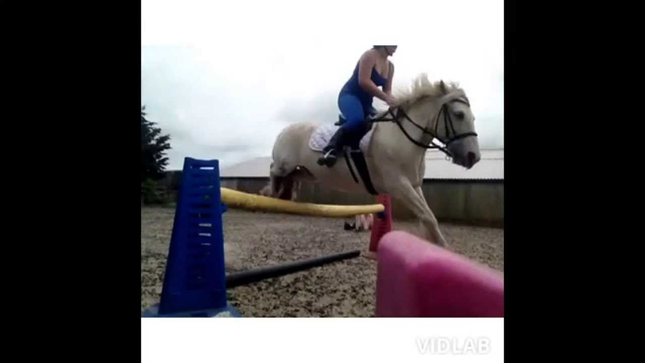 Horse jumping in slow-motion! 90cm - YouTube