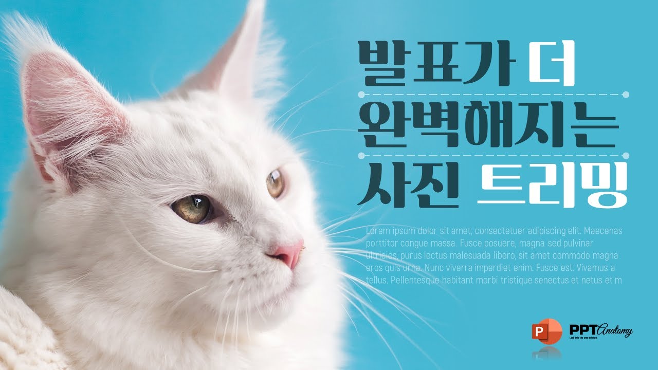 Ppt해부학⏰3분 뚝딱 발표가 더 완벽해지는 사진 편집 트리밍 기술 무료 이미지 프레젠테이션 파워포인트 디자인 Powerpoint Design Skill Youtube