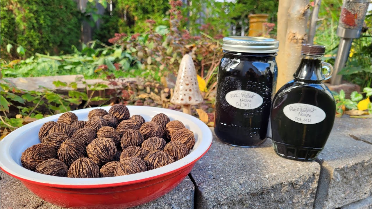 Black Walnut Nocino Liqueur| Part 2 - YouTube