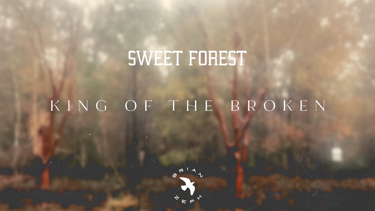 Sweet Forest (Official Lyric Video) - YouTube