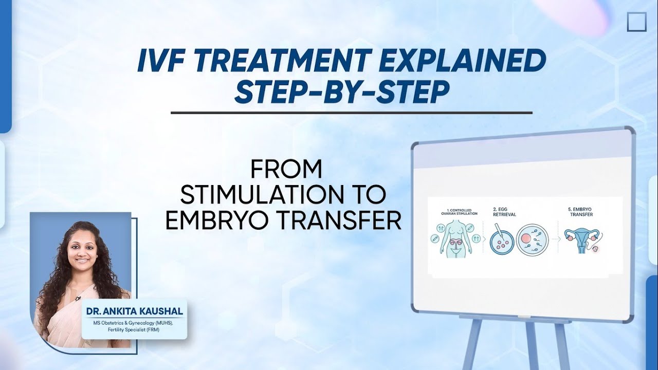 IVF Step-by-Step Explained | Complete IVF Treatment Process by Dr ...