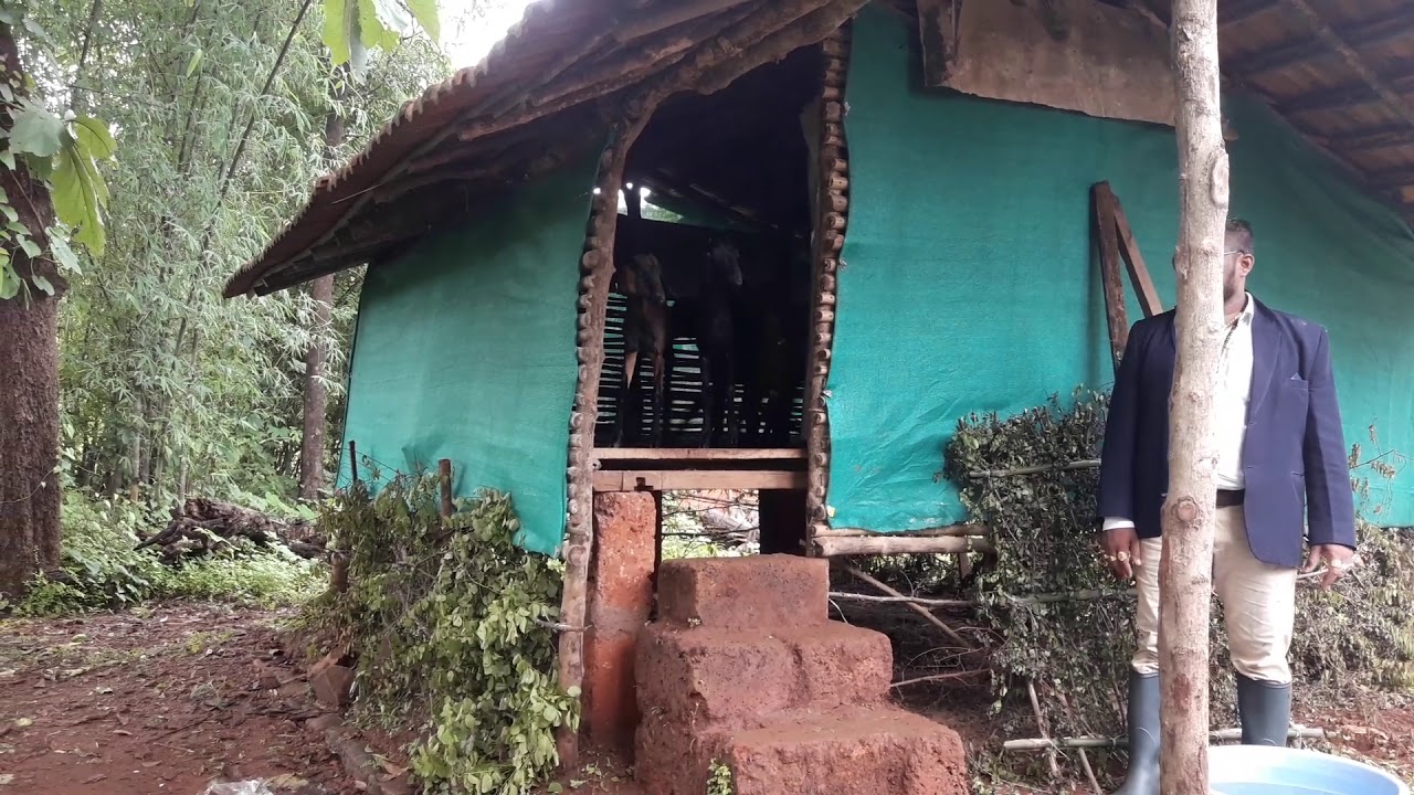 9 STAR AGROTOURISM SALPE-MACHAL HILL STATION RATNAGIRI - YouTube