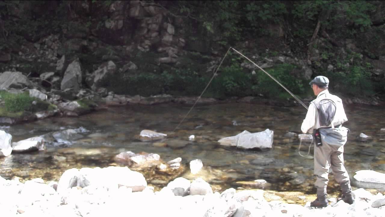 DSCF0484.AVI YUKI'Sフライ・スクール - YouTube